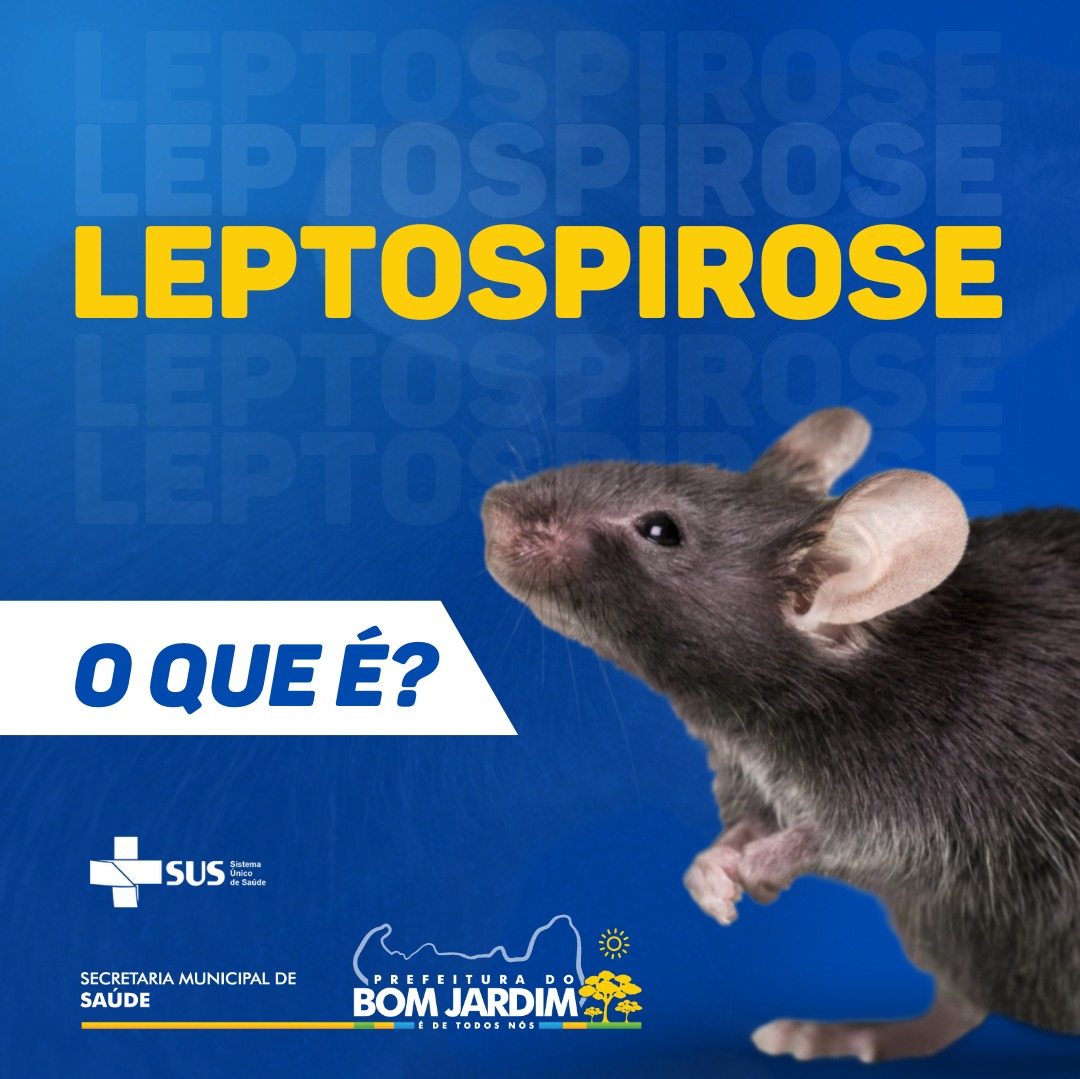 O QUE É LEPTOSPIROSE – Prefeitura Municipal do Bom Jardim